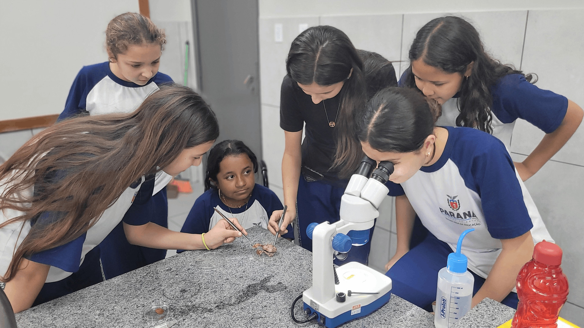 FECCI nasce grande e vem para estimular e revelar jovens cientistas ...